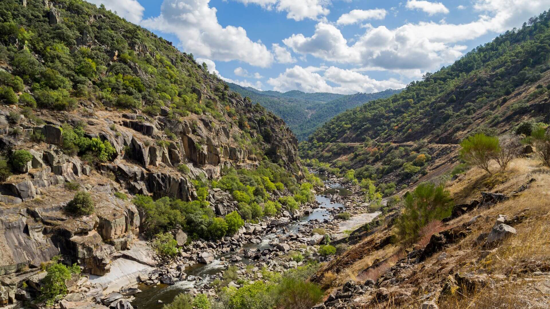 Vale do Rio Tua - beleza que deságua no Rio Douro - Cenários D'Ouro